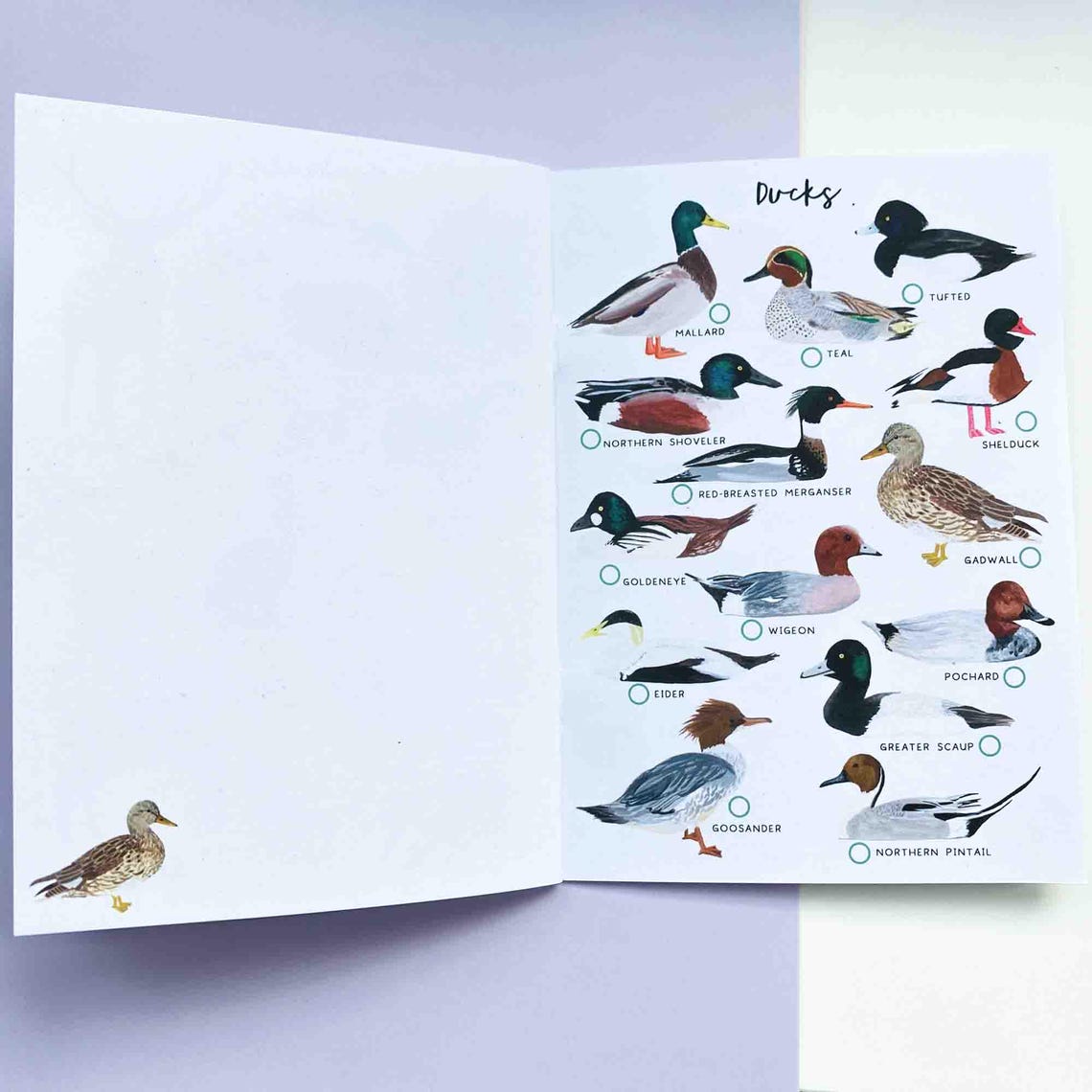 British Nature Spotter Journal - Wildlife Spotter Notebook - Nature ...