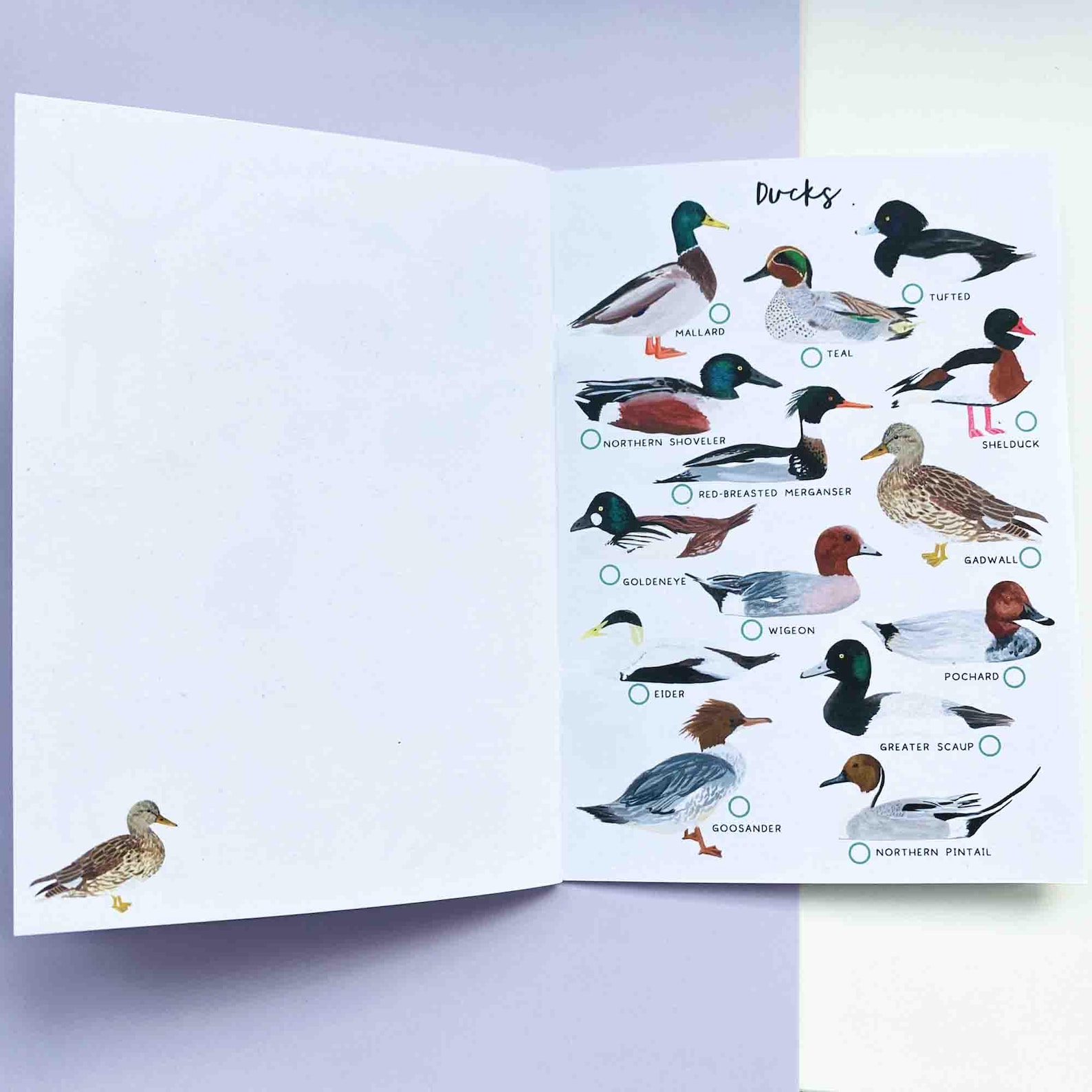 British Nature Spotter Journal - Wildlife Spotter Notebook - Nature ...