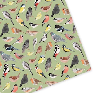 British Birds Wrapping Paper - Bird Gift Wrap - Garden Birds Gift Wrap ...