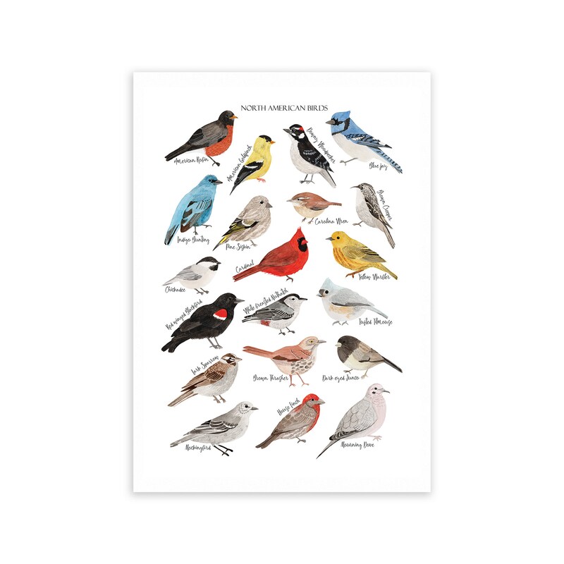 Birds Print - Etsy