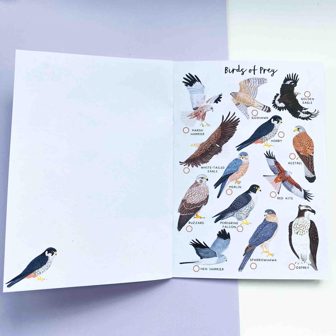 British Nature Spotter Journal - Wildlife Spotter Notebook - Nature ...