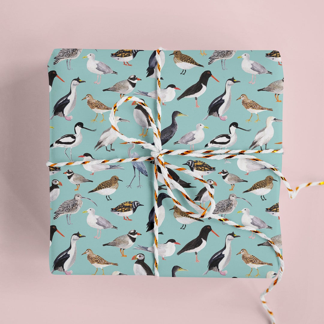 British Coastal Birds Wrapping Paper - Bird Gift Wrap - Seaside Birds ...