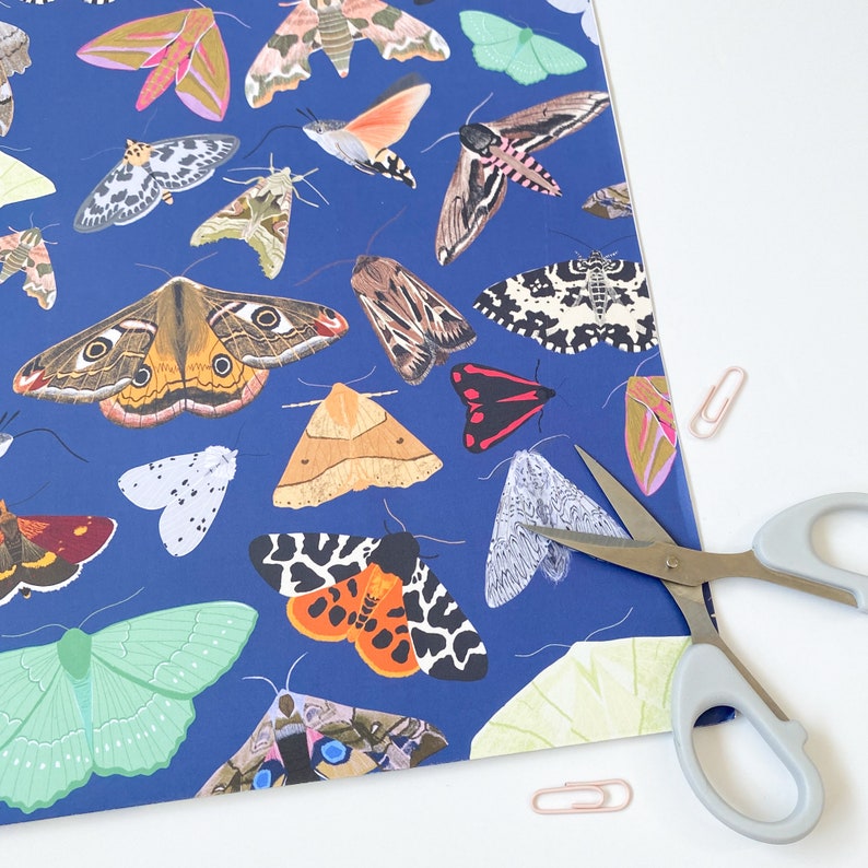 British Moths Wrapping Paper - Moth Gift Wrap - Insect Gift Wrap ...