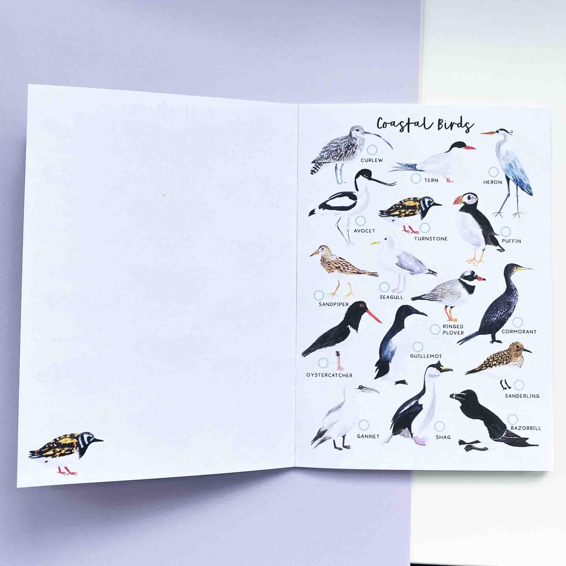British Nature Spotter Journal - Wildlife Spotter Notebook - Nature ...