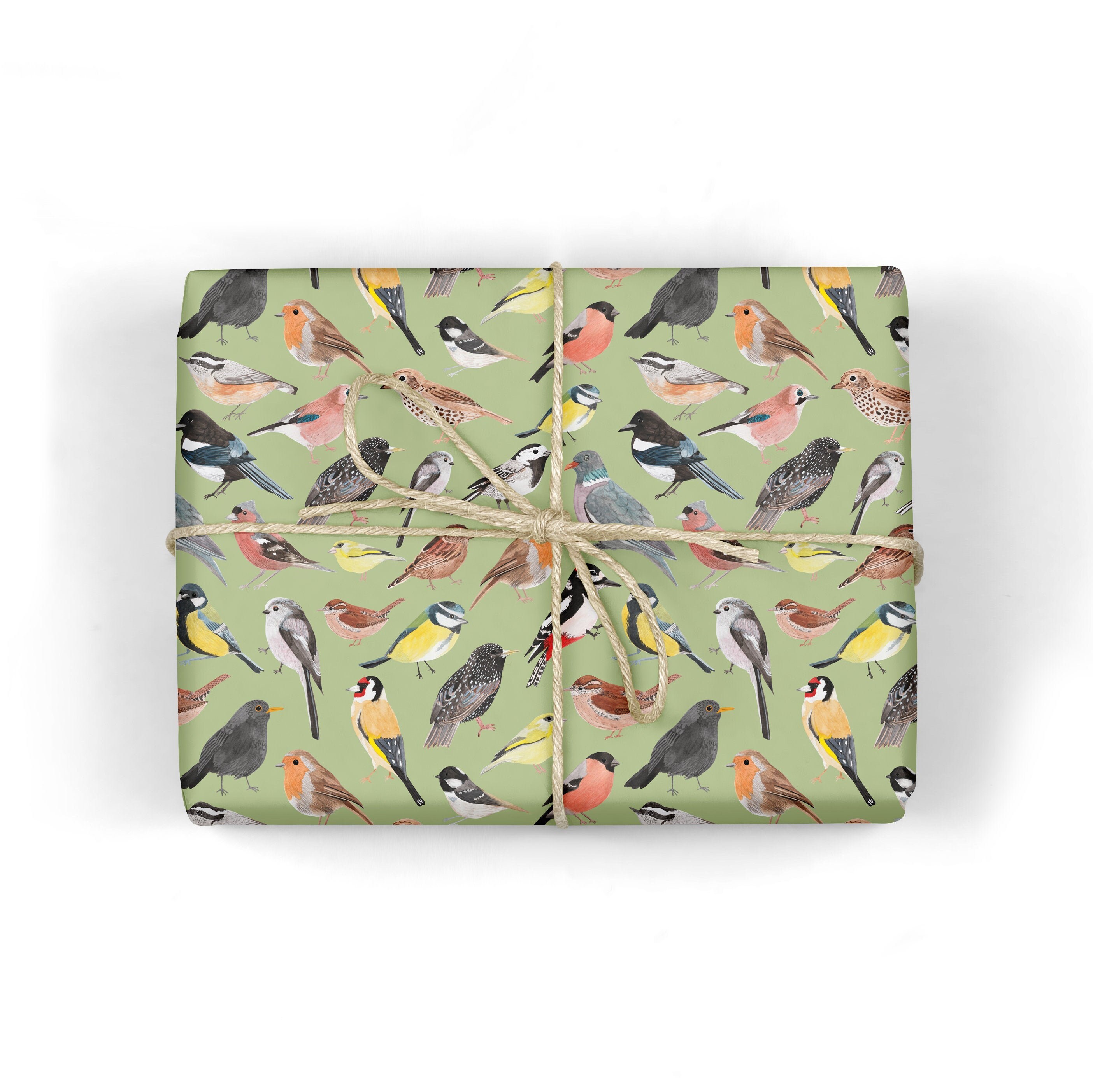 British Birds Wrapping Paper Bird Gift Wrap Garden Birds | Etsy UK