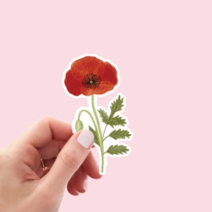 Poppy Vinyl Sticker - Flower Vinyl Sticker - Poppy Sticker - Floral ...