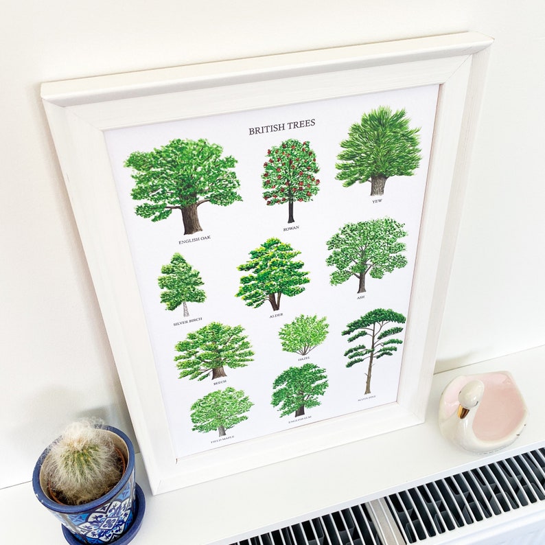 British Trees Print Watercolour Tree Print Tree Art Poster | Etsy