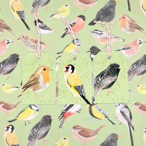 British Birds Wrapping Paper - Bird Gift Wrap - Garden Birds Gift Wrap ...