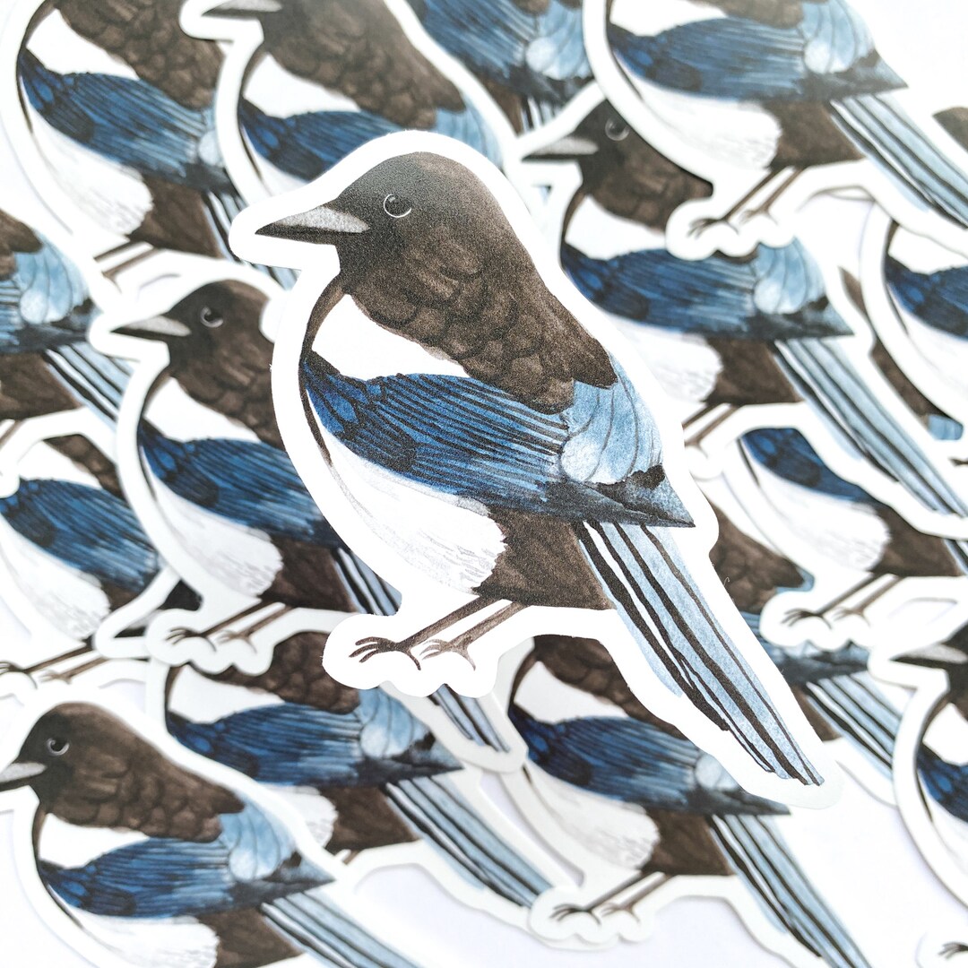 Magpie Vinyl Sticker - British Nature Vinyl Sticker - Magpie Sticker ...