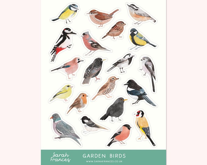 BIRD STICKER SHEET - Etsy