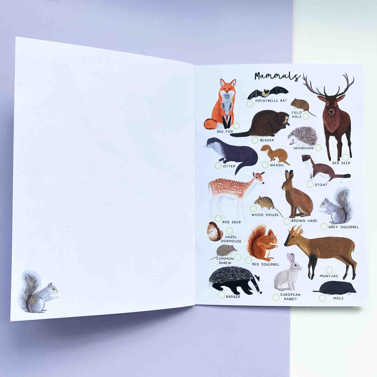 British Nature Spotter Journal - Wildlife Spotter Notebook - Nature ...