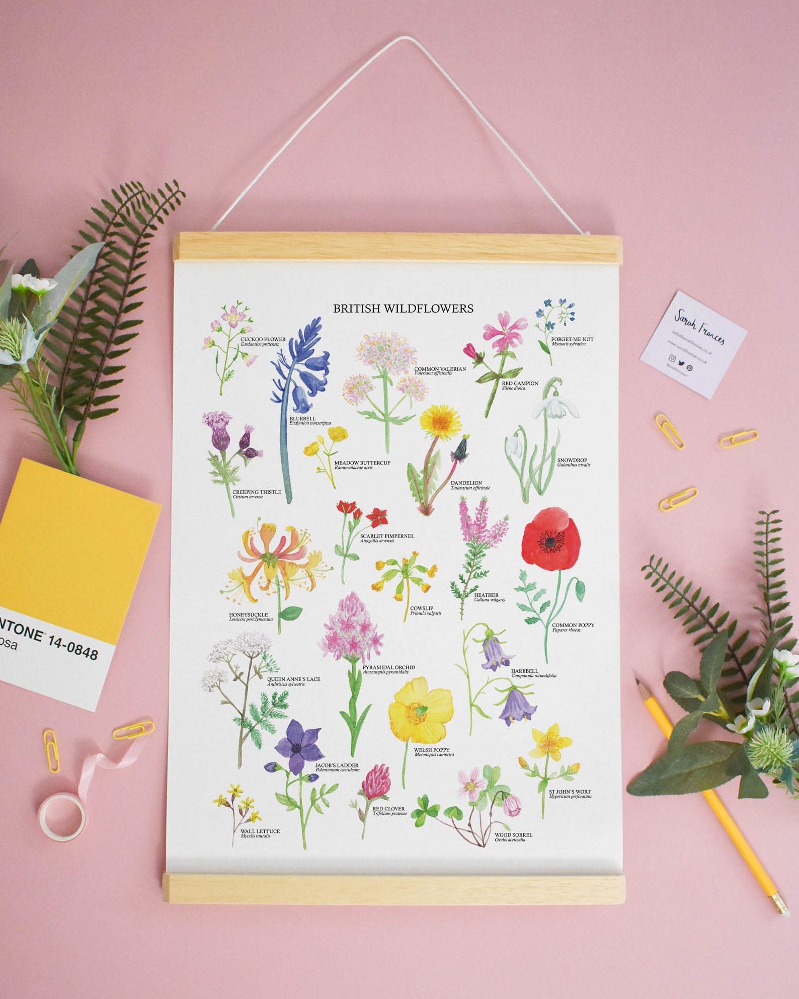 British Wildflowers Print Wildflower Art Poster - Etsy
