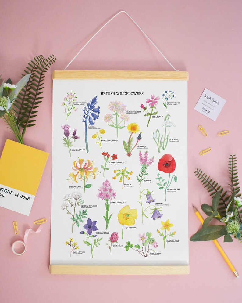 British Wildflowers Print Wildflower Art Poster - Etsy
