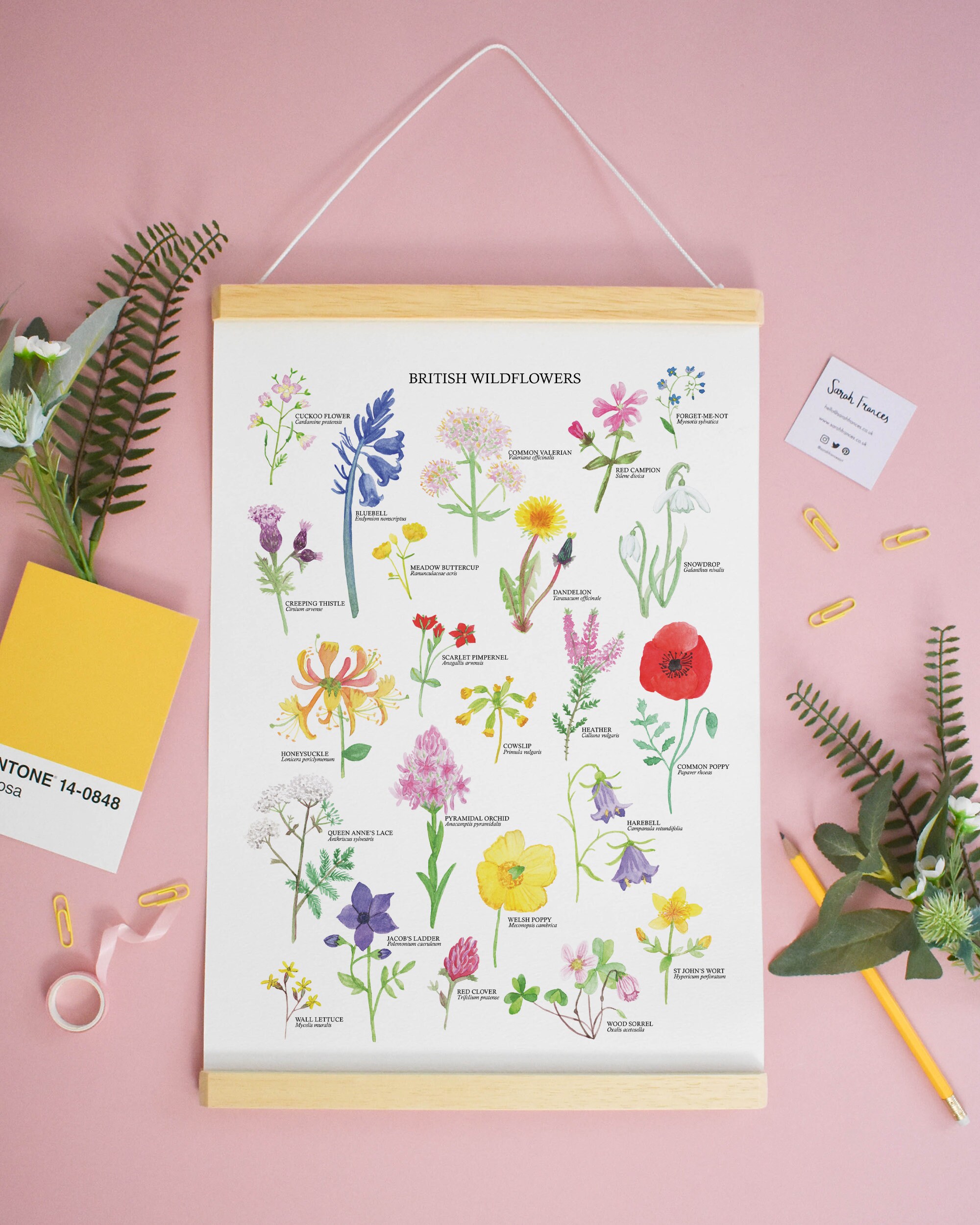 British Wildflowers Print Wildflower Art Poster - Etsy