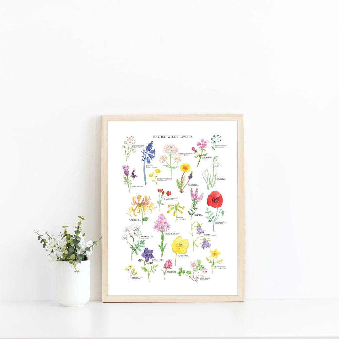 British Wildflowers Print Wildflower Art Poster - Etsy