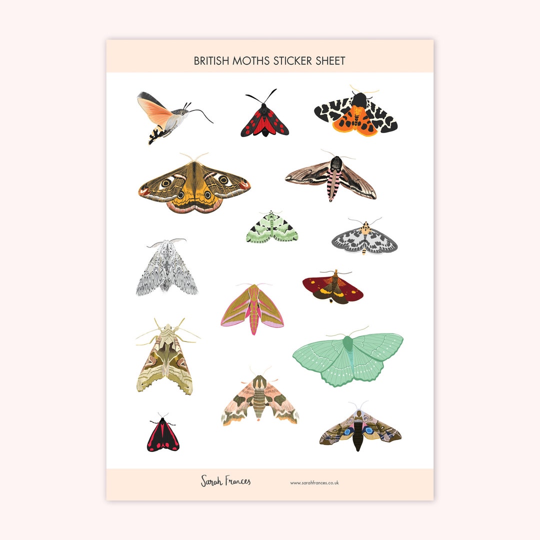 British Moths Sticker Sheet - British Nature Sticker Sheet - Insect ...
