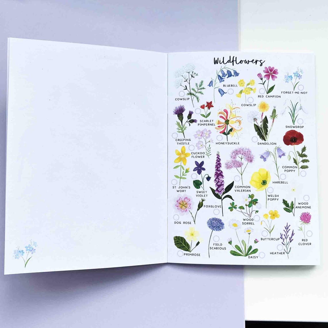 British Nature Spotter Journal - Wildlife Spotter Notebook - Nature ...