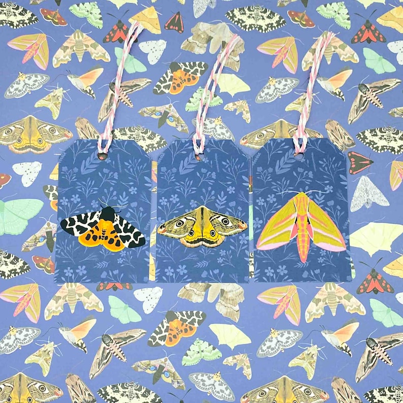 British Moths Wrapping Paper - Moth Gift Wrap - Insect Gift Wrap ...