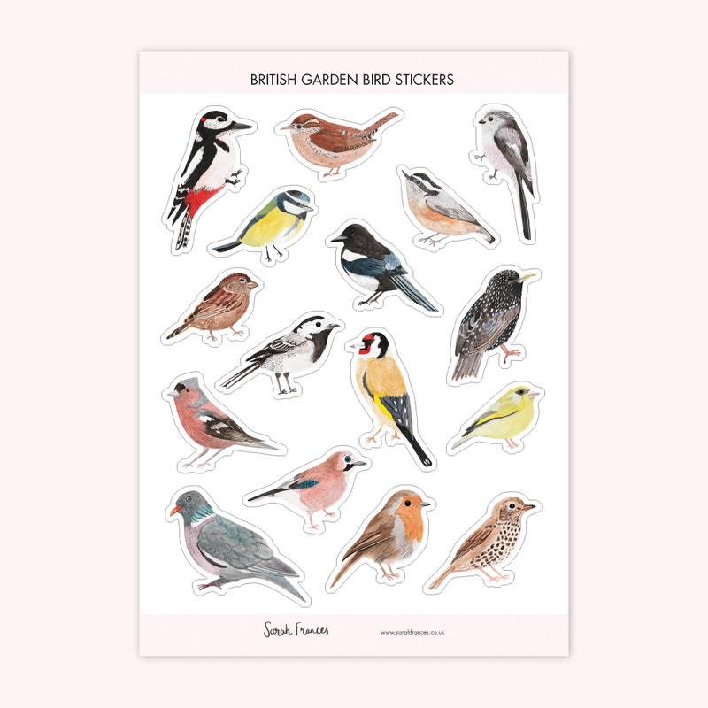Bird Stickers - Etsy