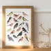 British Birds Print - Watercolour Art Print - British Nature Print ...