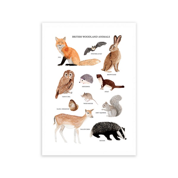 British Animals Print - Etsy