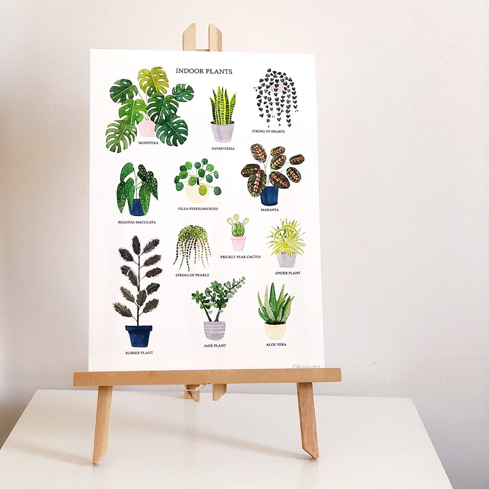 Indoor Plants Print House Plants Print Watercolour Plant | Etsy