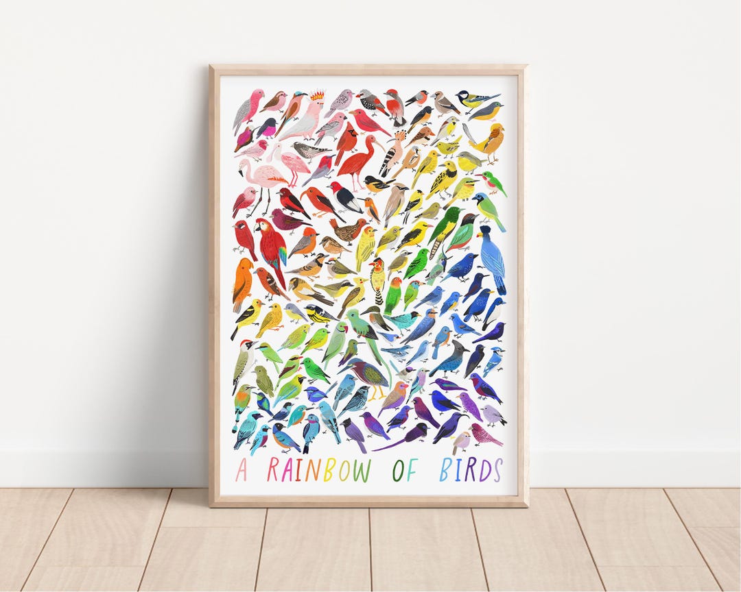 A Rainbow of Birds Art Print - Illustrated Birds Print - Birds Poster ...