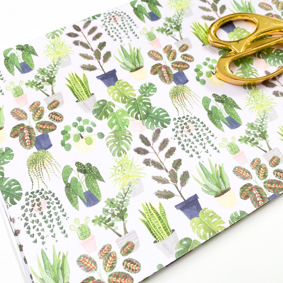 Indoor Plants Wrapping Paper House Plants Gift Wrap House - Etsy UK