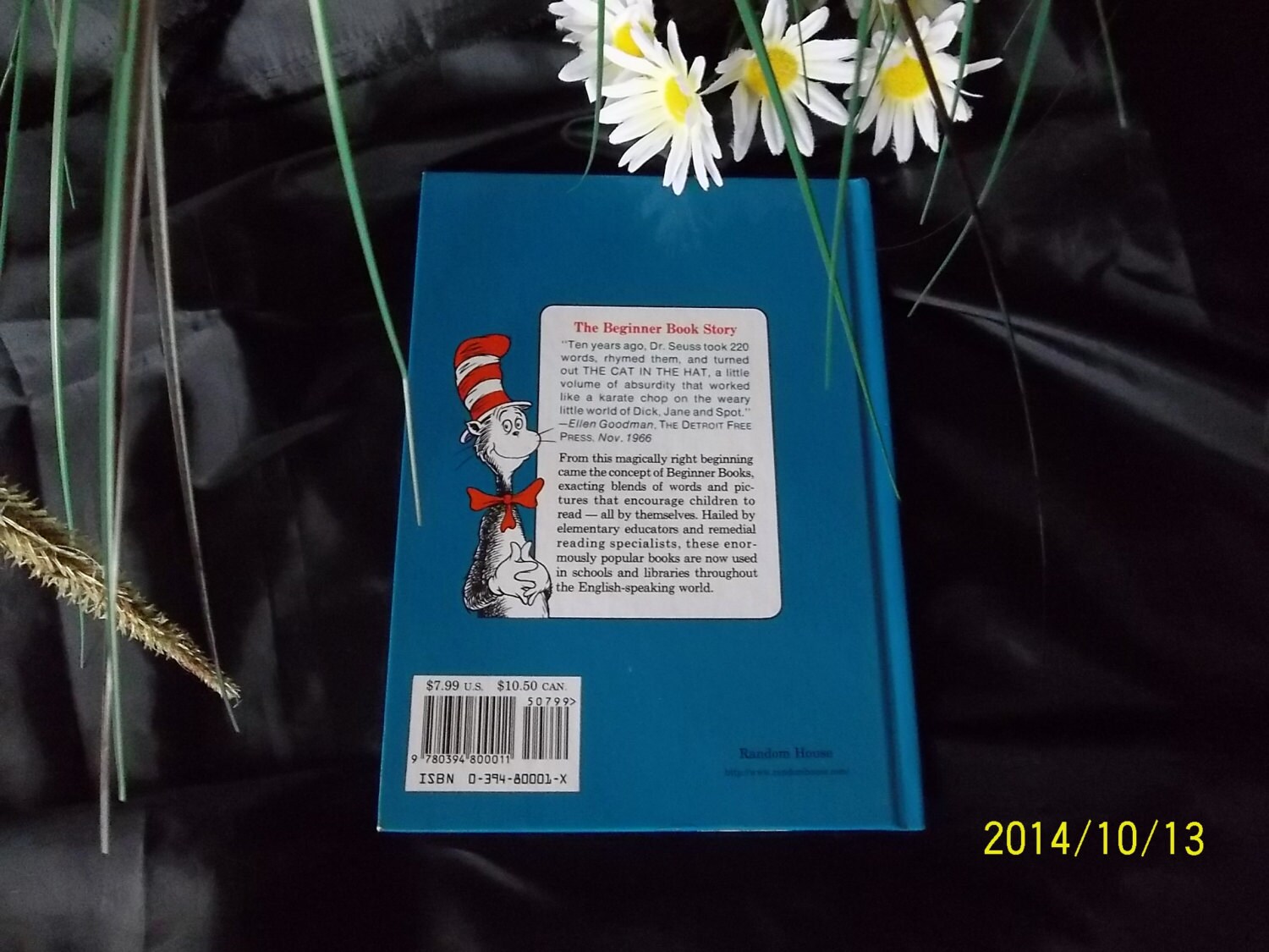 The Cat in the Hat Hardcover Children's Vintage Book - Etsy