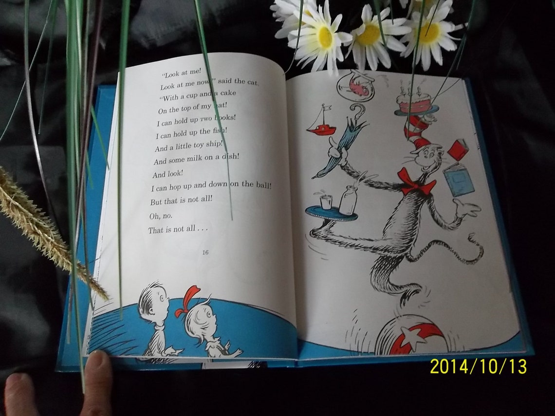 The Cat in the Hat Hardcover Children's Vintage Book | Etsy