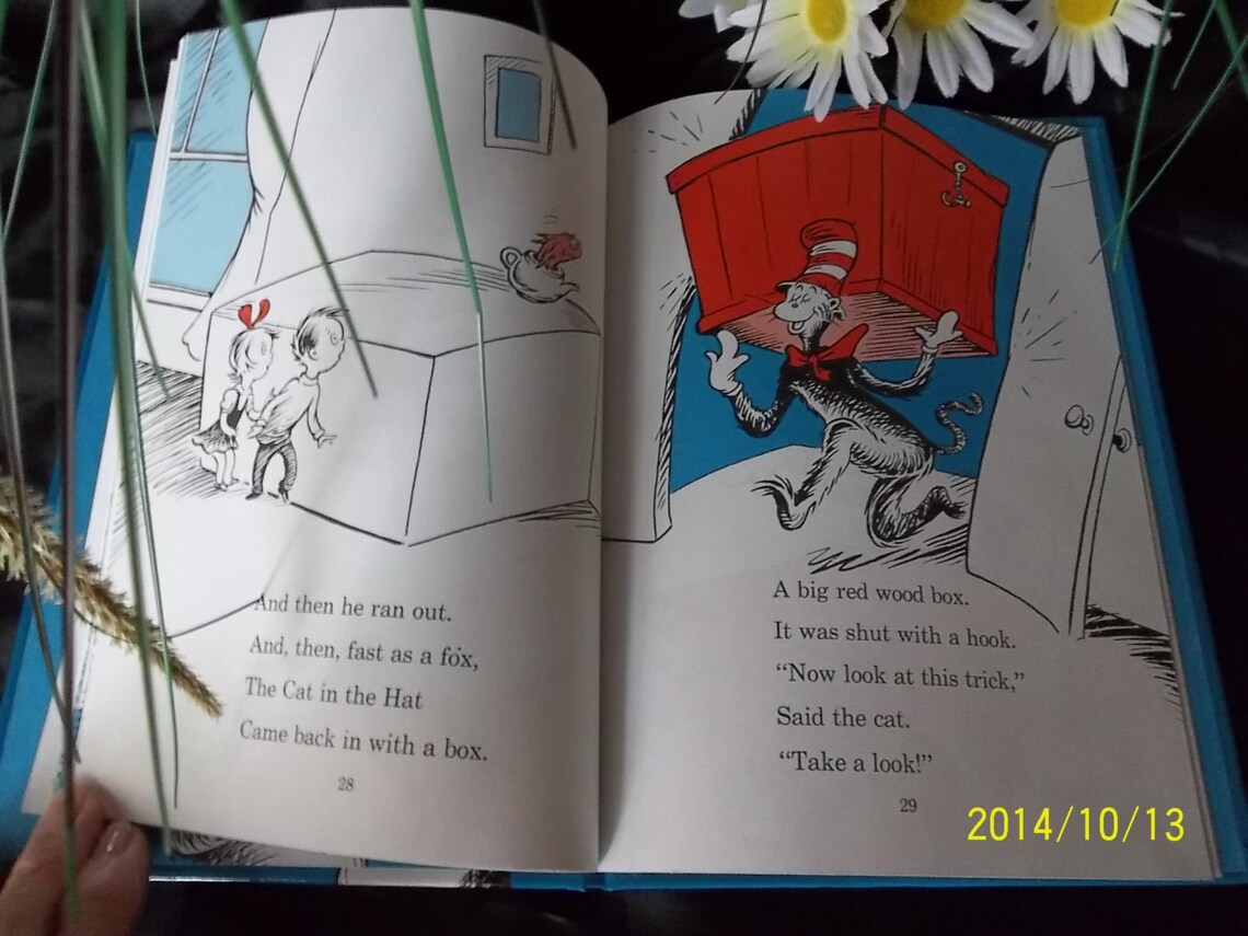 The Cat in the Hat Hardcover Children's Vintage Book | Etsy