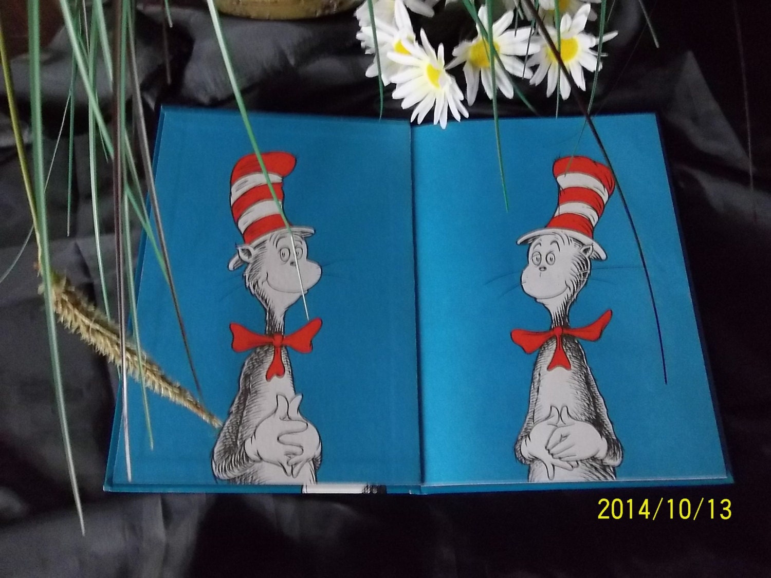 The Cat in the Hat Hardcover Children's Vintage Book - Etsy