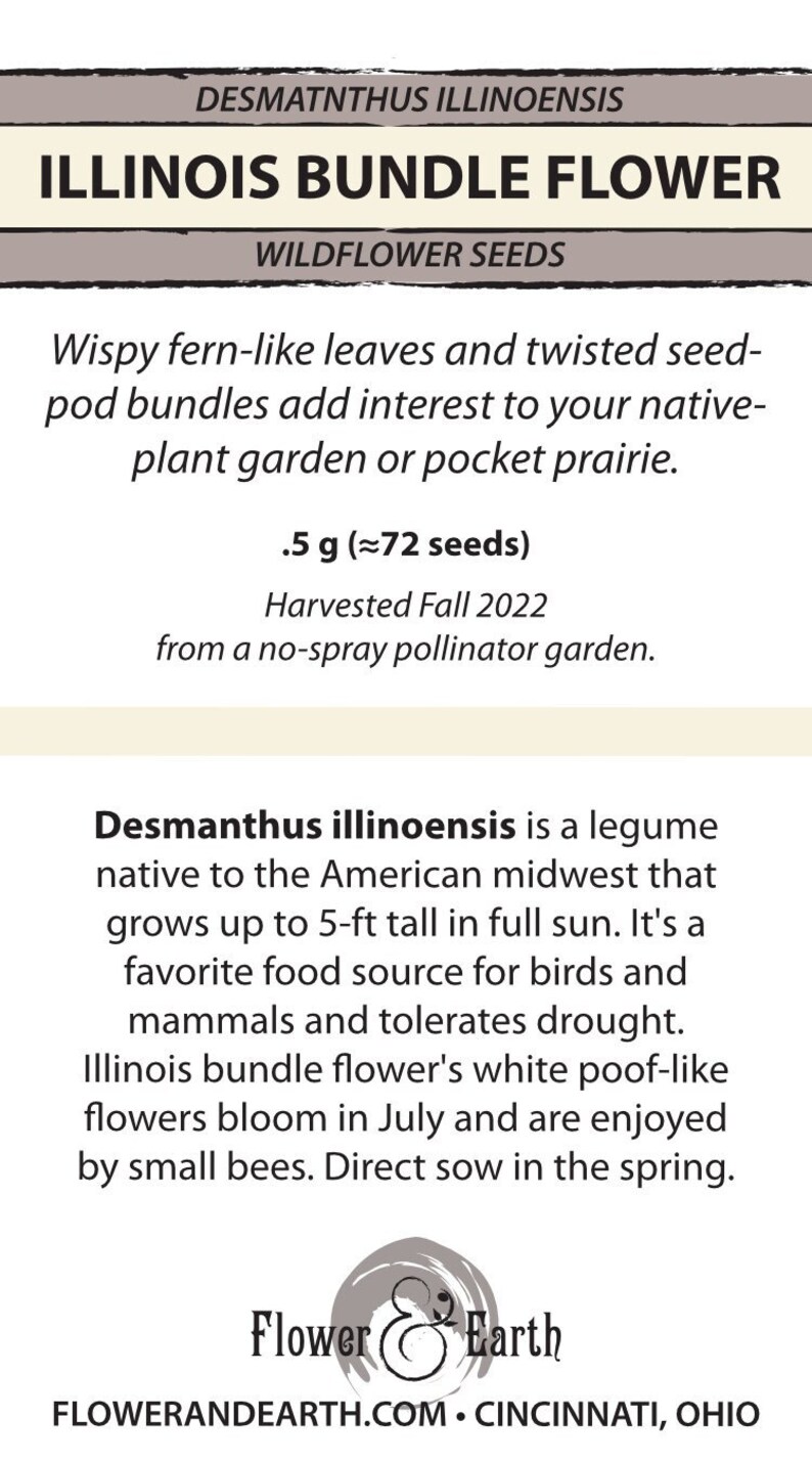 Illinois Bundle Flower Seeds Native Plant Seeds for Planting - Etsy