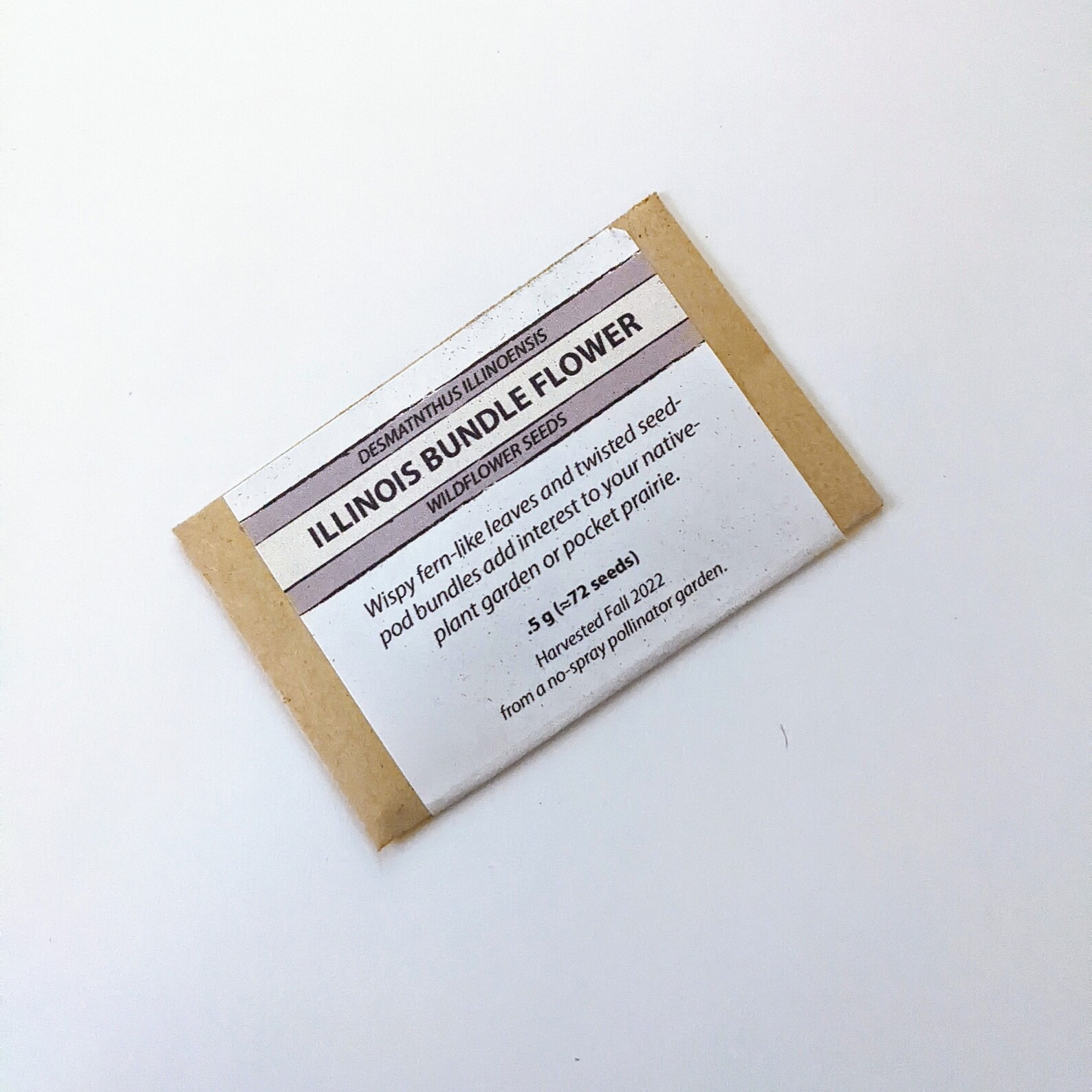 Illinois Bundle Flower Seeds Native Plant Seeds for Planting - Etsy