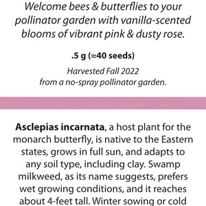Swamp Milkweed Seeds, Native Plants Seed Packet, Asclepias Incarnata ...