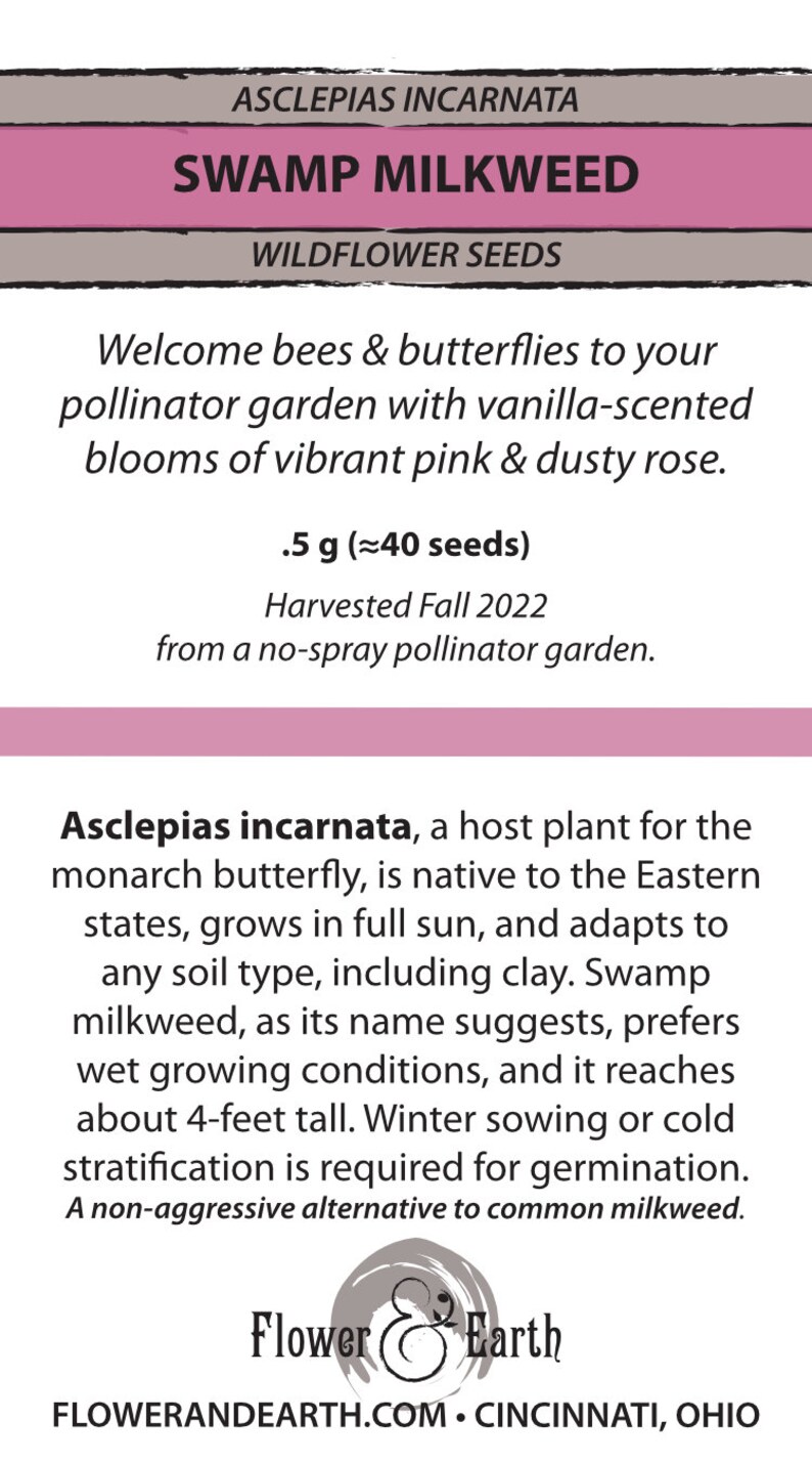 Swamp Milkweed Seeds Native Plants Seed Packet Asclepias - Etsy