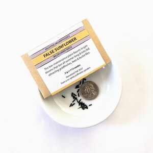 False Sunflower Seeds for Plants, Heliopsis Helianthoides Seeds, Native ...