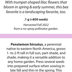 Penstemon Seeds for Plants, Native Plant Seeds for Planting, Pollinator ...