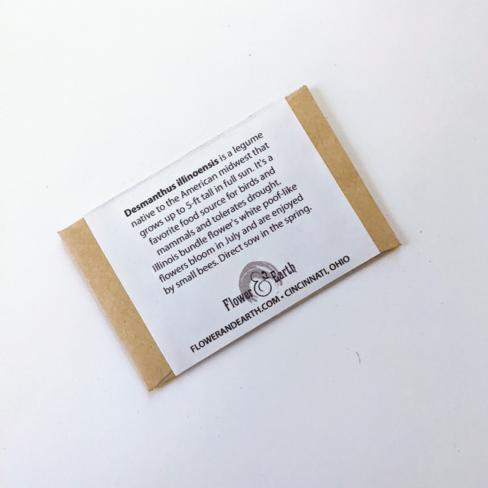 Illinois Bundle Flower Seeds Native Plant Seeds for Planting - Etsy