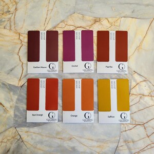 Tray Color Sample Card by Gleaming Renditions - Etsy