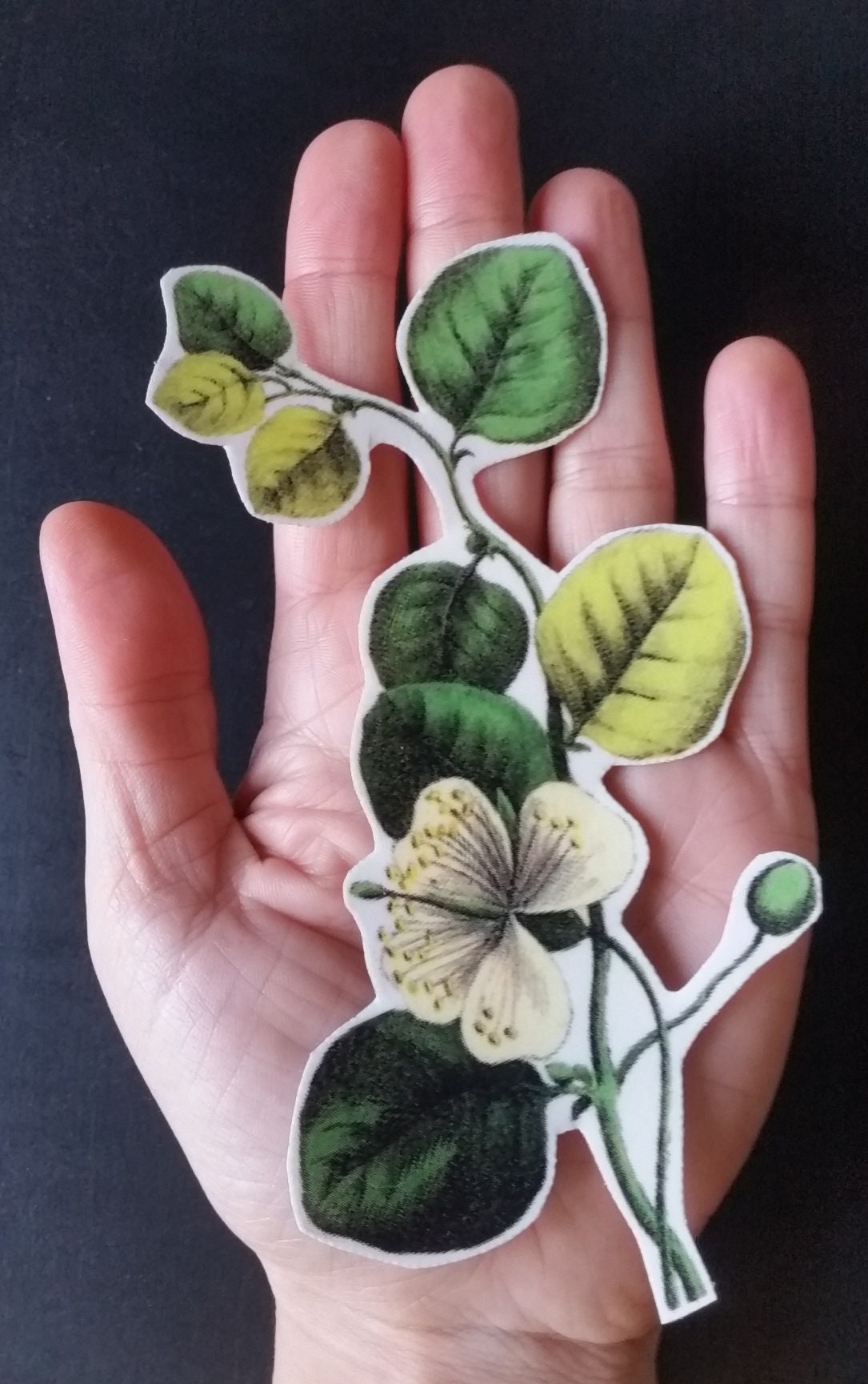 CAPPERO Temporary Tattoo White Capper Flower / Symbol of Beauty / Gift ...