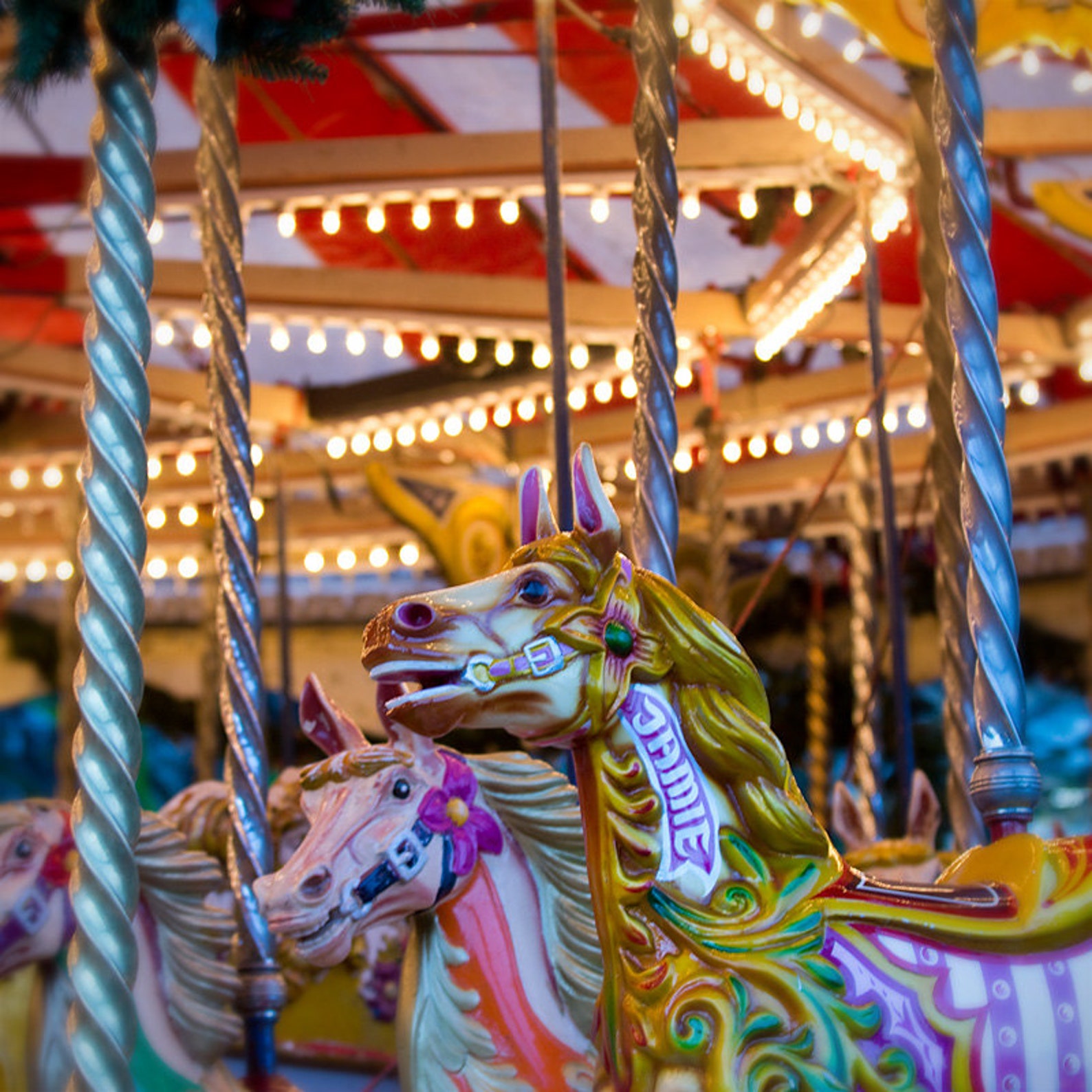 Nursery Art, Carousel Photo, Fairground Art, Carousel Horses, Art for ...