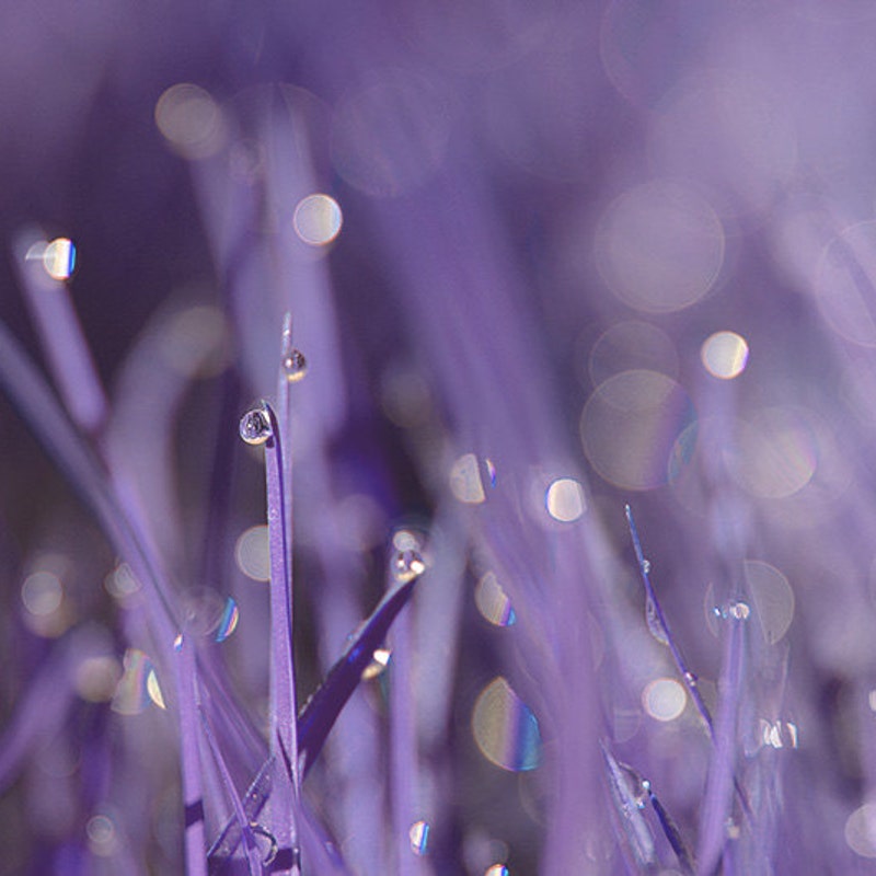 Lilac Mauve Teal - Etsy