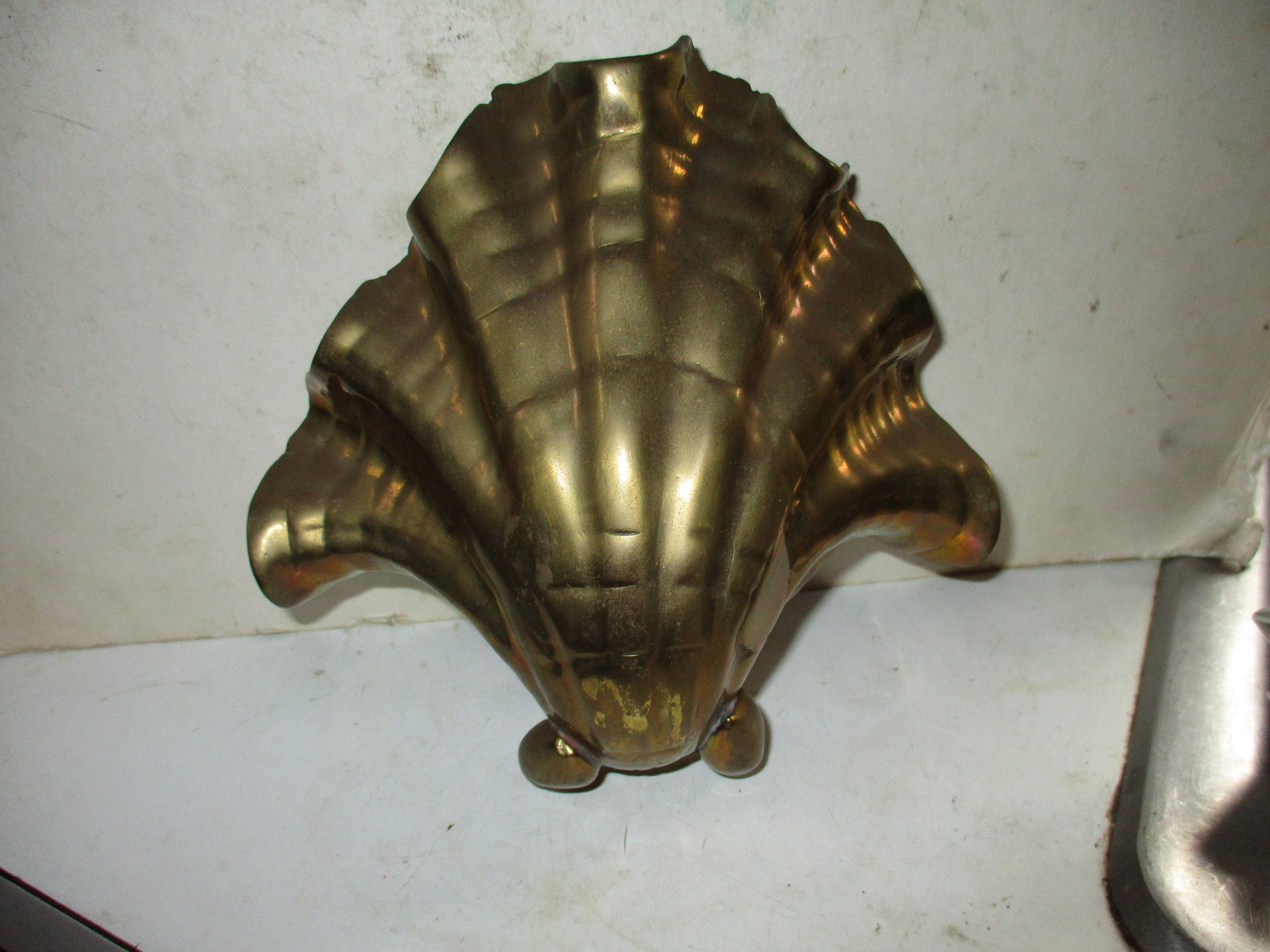 Brass Scallop Shell 7 8 X 4 Form for Decor | Etsy