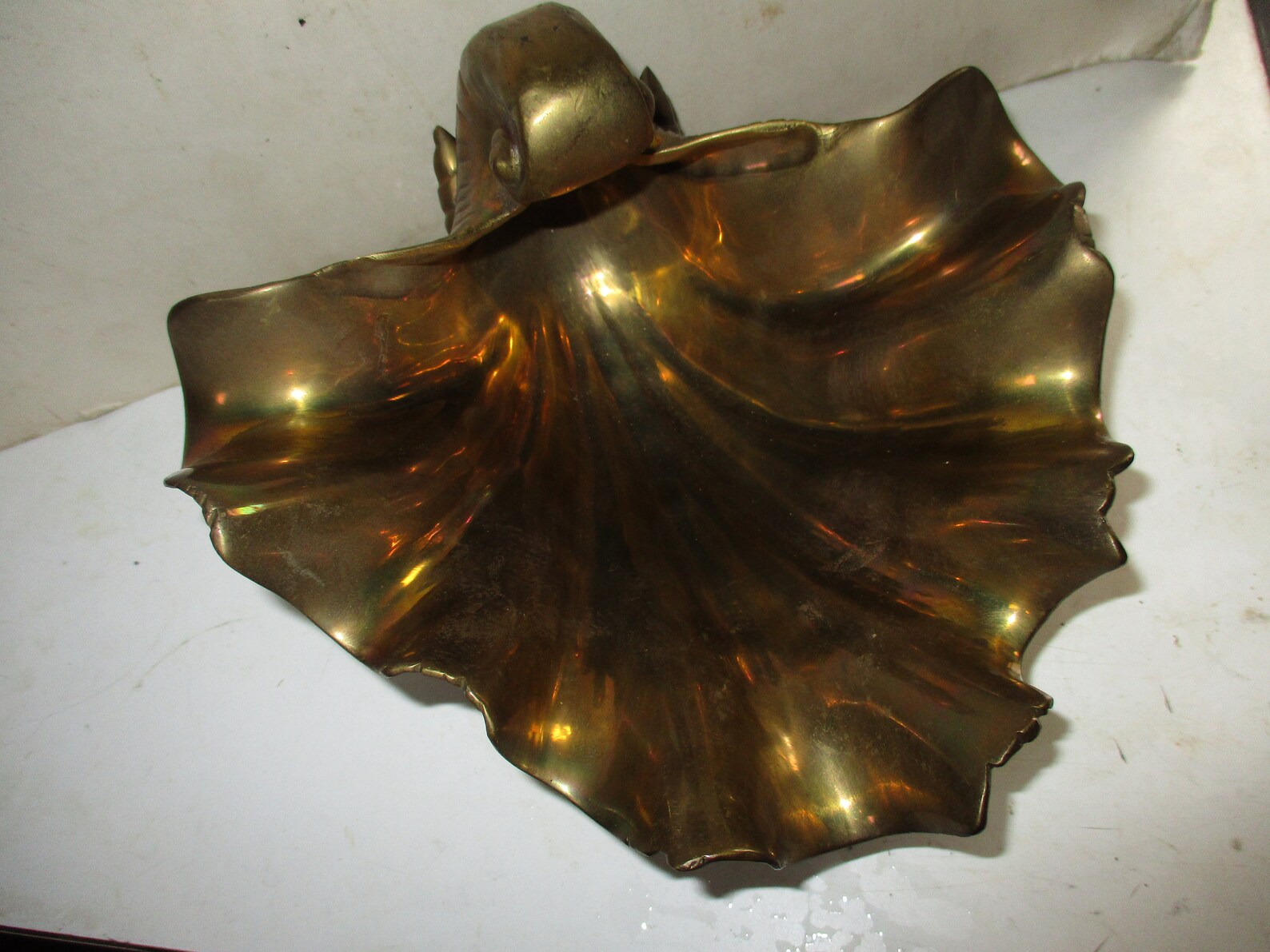 Brass Scallop Shell 7 8 X 4 Form for Decor | Etsy