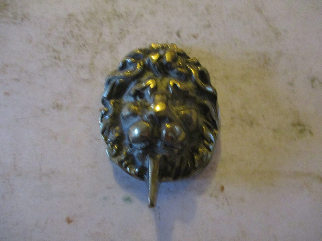 Brass Lions Head Yale Lock Cover - 3.5" High Hinged Lions Head ...