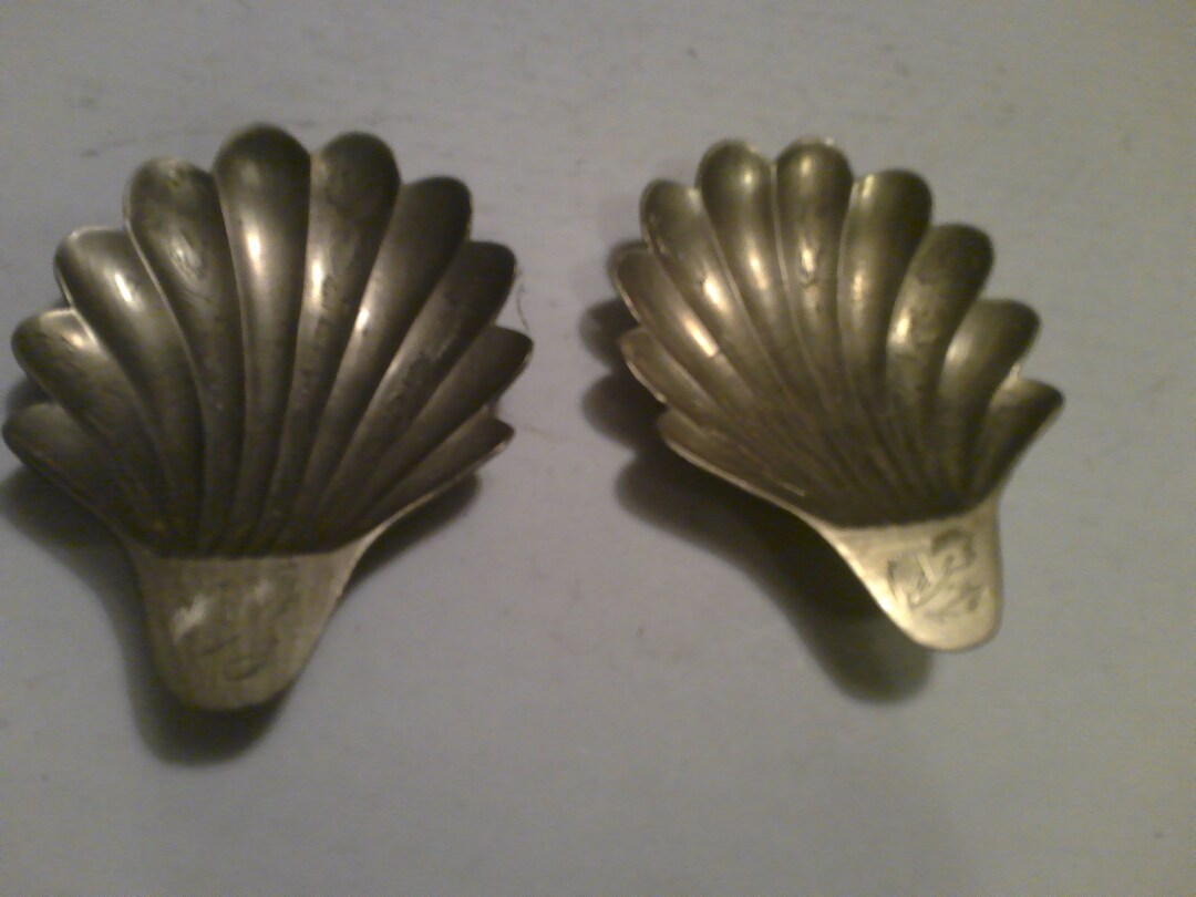 Solid Brass Scallop Shell Soap Dish or Ashtray - Matched Set of 2 -fun ...