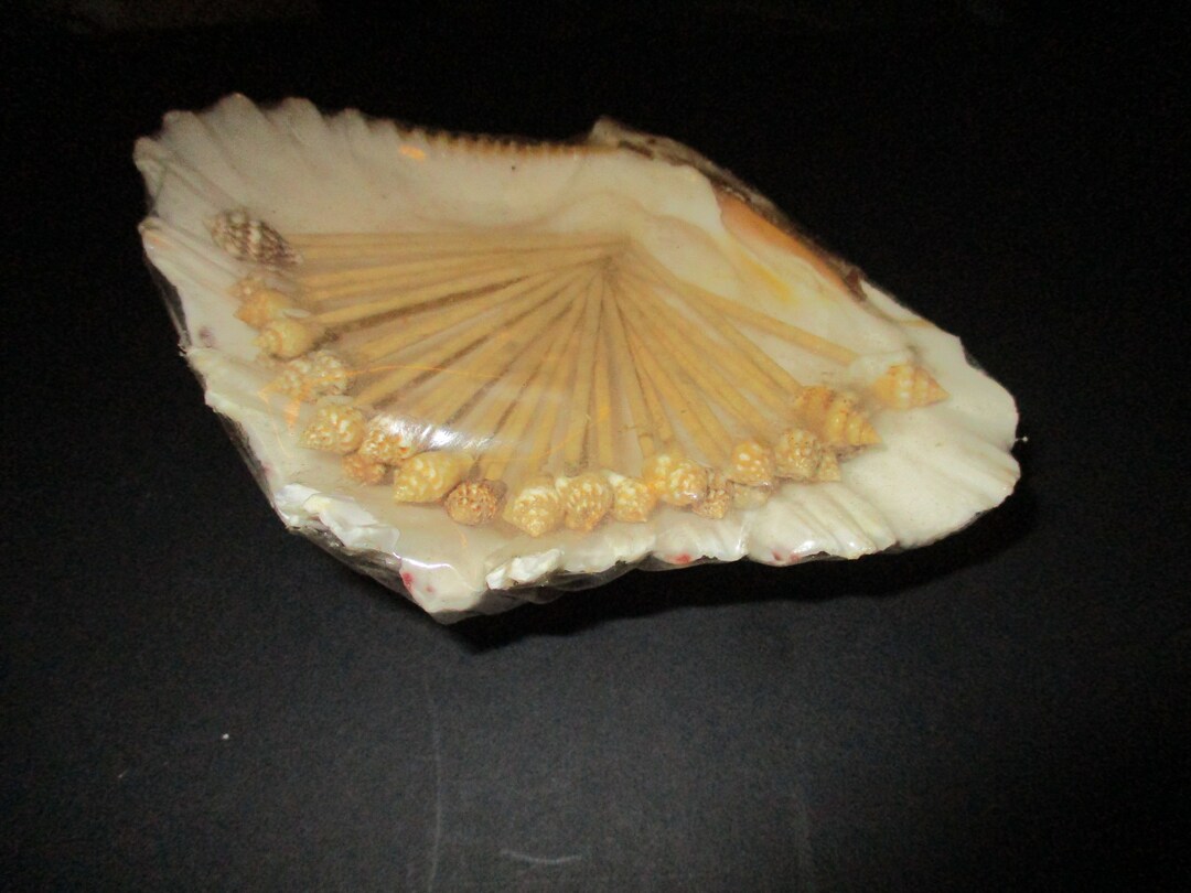 Seashell Topped Toothpick Cocktail Skewers - Rare Vintage Set of 30 ...