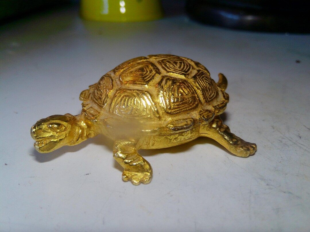 Turtle Shaped Pillbox -stylish 2 Piece Storage/display W Shell Lid and ...