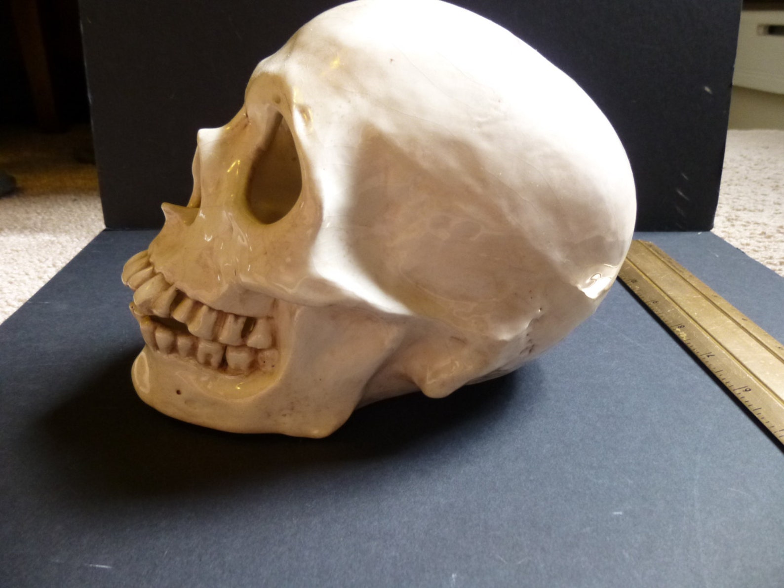 Porcelain Skull Amazingly Detailed Life Size Ceramic Replica - Etsy